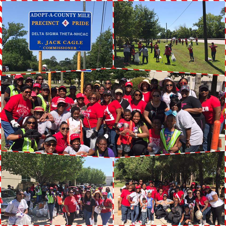 President’s Message – North Harris County Alumnae Chapter of Delta ...